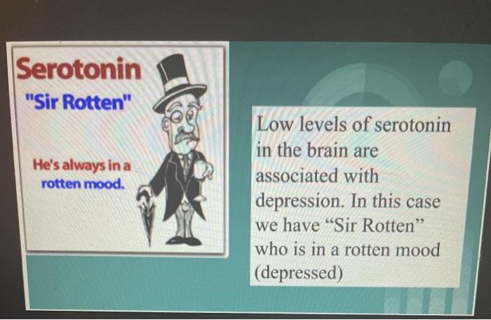 Solved Create your own Mnemonic Device for the parts of the | Chegg.com