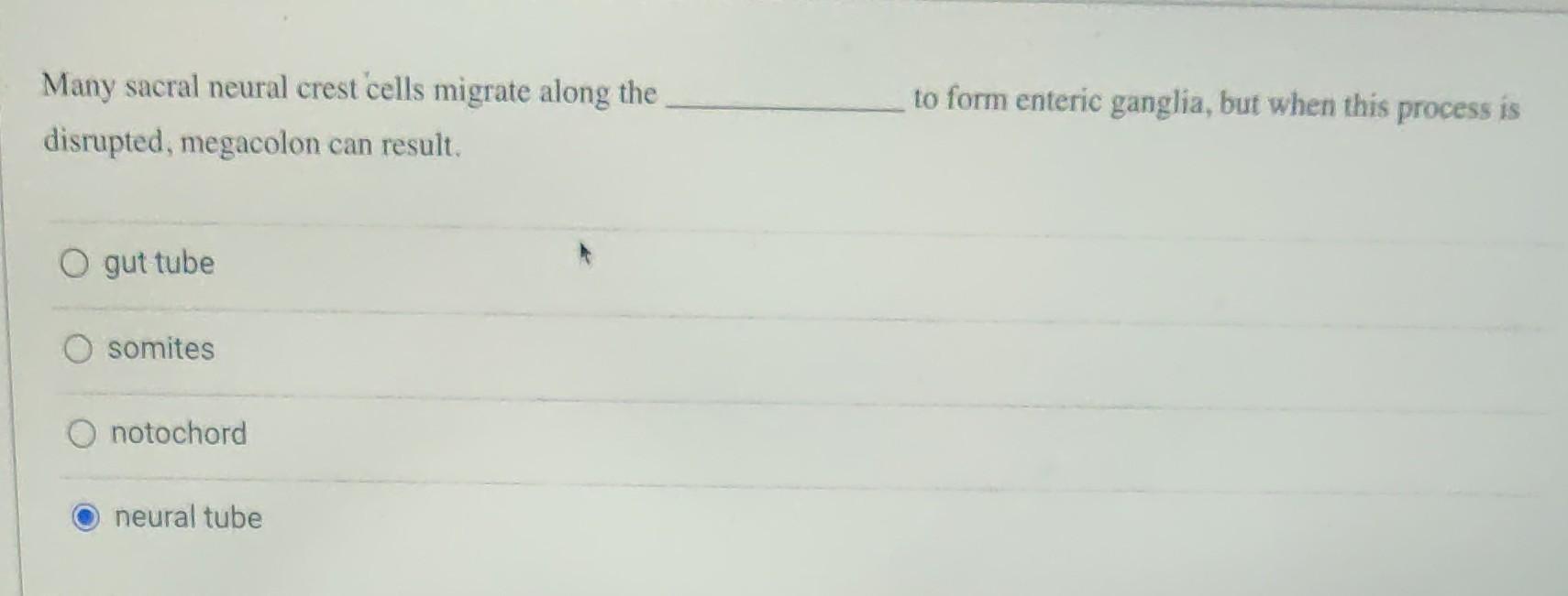 Solved Many sacral neural crest cells migrate along the to | Chegg.com