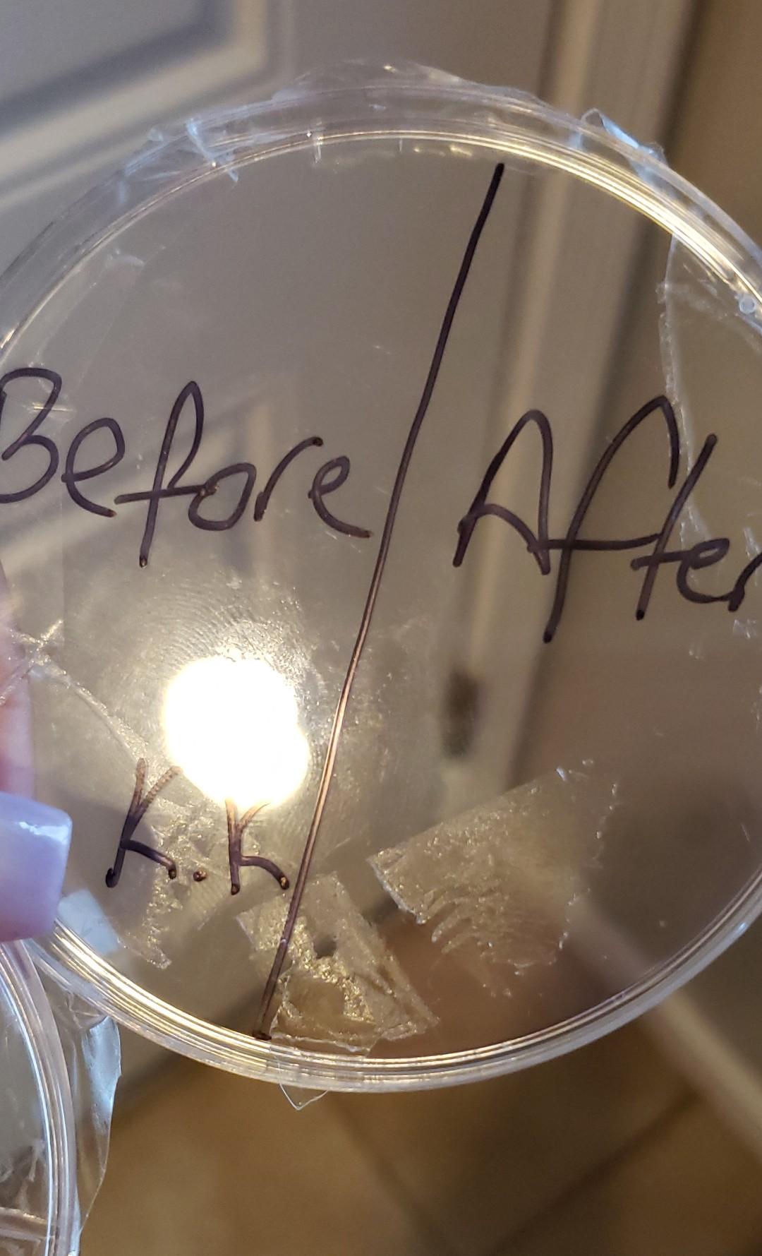 Hand Wash Experiment 1. Get a plate with agar. Using | Chegg.com