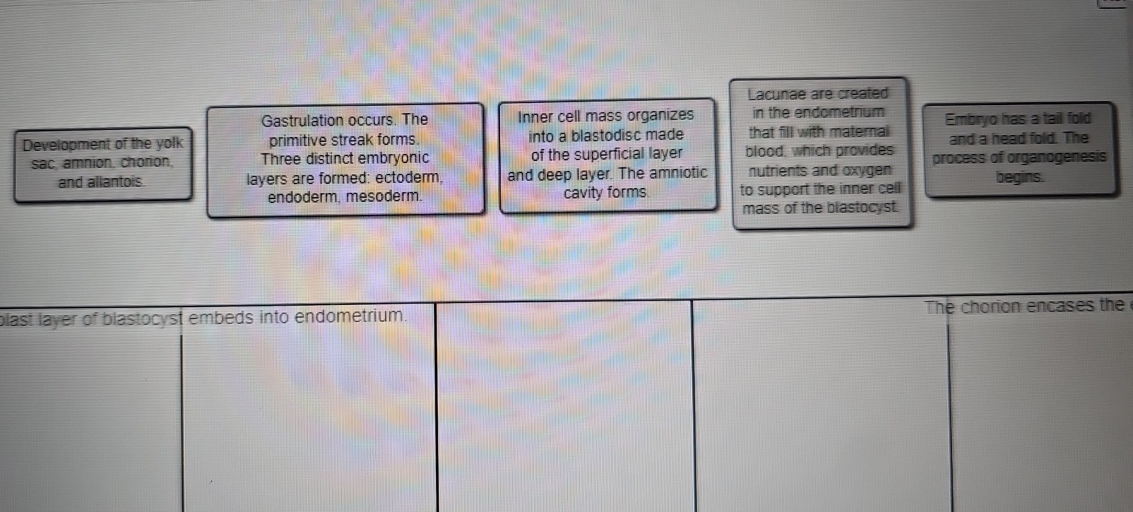Solved Development of the yolkGastrulation occurs. The | Chegg.com