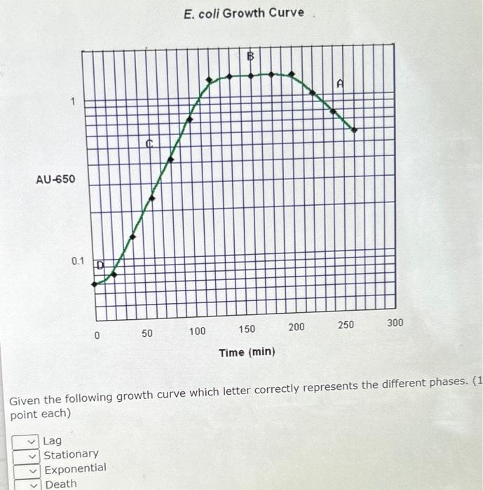 Solved E. coli Growth Curve Given the following growth curve | Chegg.com
