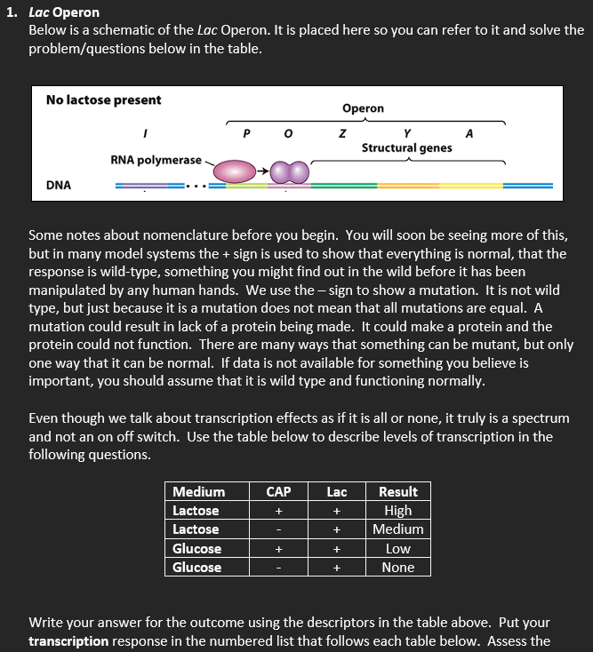 Solved I ONLY need questions 2 ﻿AND 3 ﻿answered, I do NOT | Chegg.com