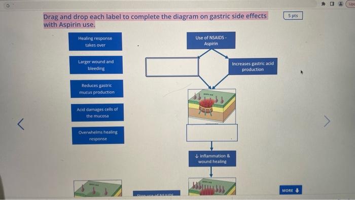 Drag and drop each label to complete the diagram on | Chegg.com