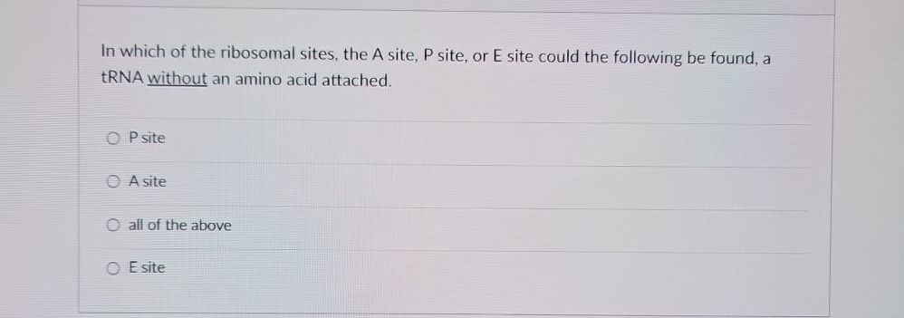 Solved In which of the ribosomal sites, the A site, P site, | Chegg.com
