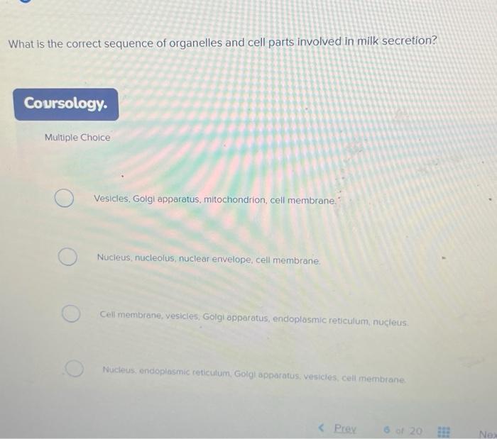 What is the correct sequence of organelles and cell | Chegg.com