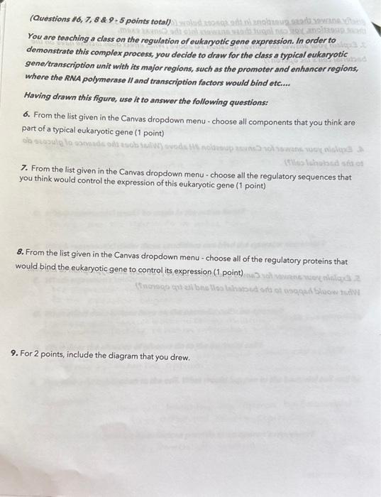 Solved (Questions #6, 7, 8 & 9-5 points total) wolod 299602 | Chegg.com