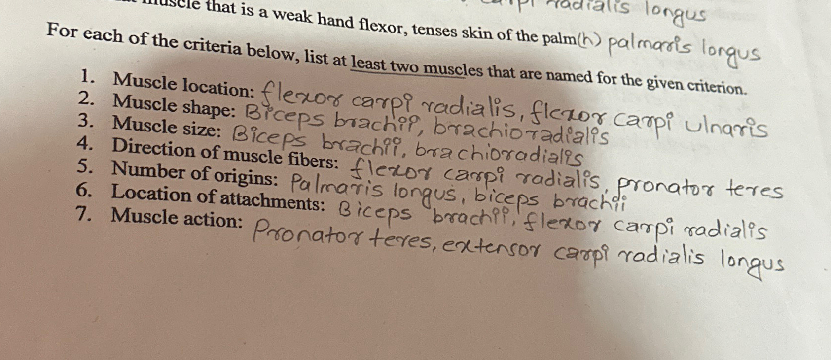 Solved that is a weak hand flexor, tenses skin of the | Chegg.com