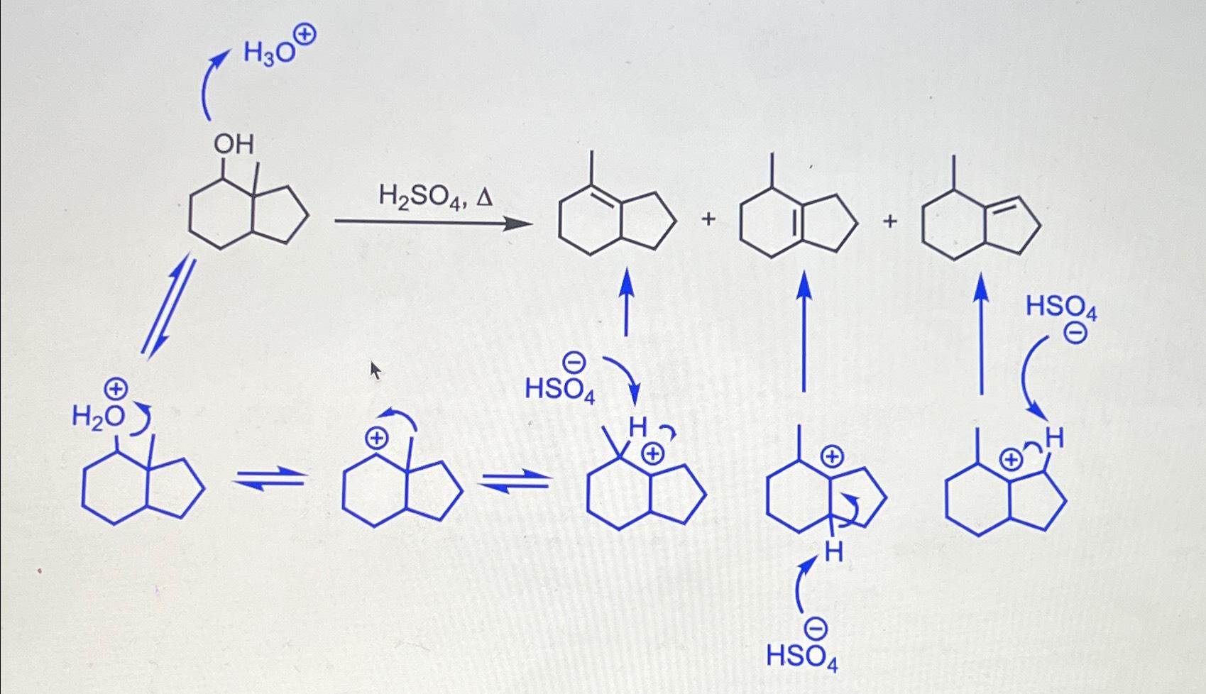 Solved This question has already been solved but please | Chegg.com