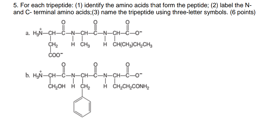 Solved 5. For each tripeptide: (1) identify the amino acids | Chegg.com