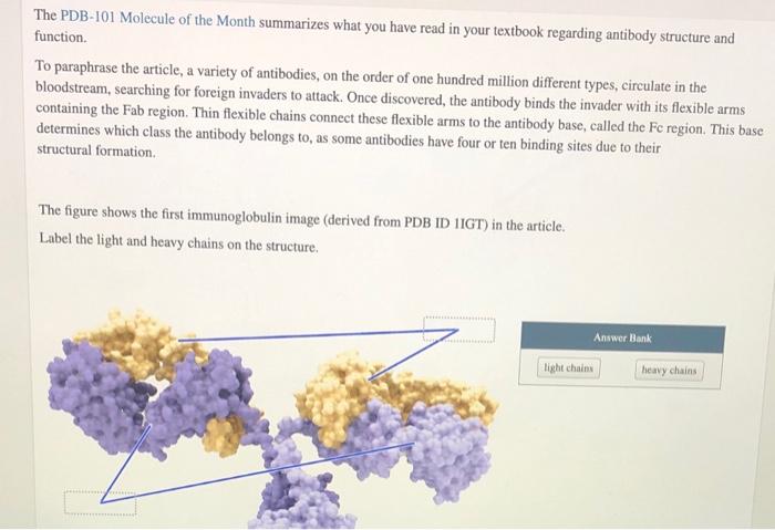 Solved The PDB-101 Molecule of the Month summarizes what you | Chegg.com