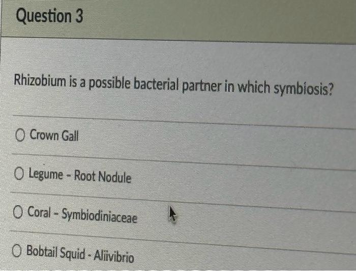 Solved You are cloning using the pUC19 vector. After | Chegg.com
