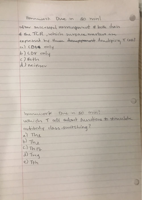 Solved 30 min! Homework Die in after successful | Chegg.com