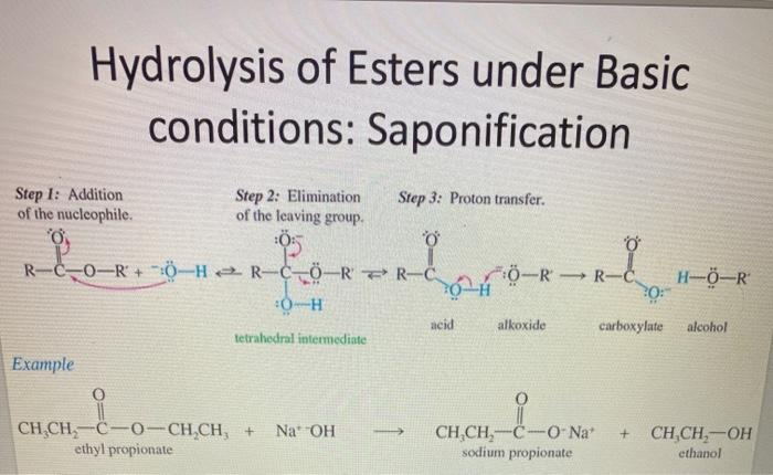 Solved Hydrolysis of Esters under Basic conditions: | Chegg.com