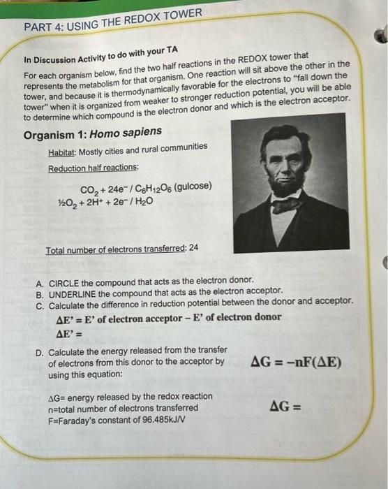 Solved In Discussion Activity to do with your TA For each | Chegg.com