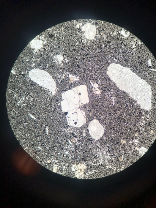 Solved thin section minerals identify them with the | Chegg.com