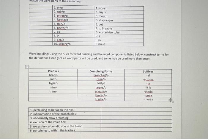 Solved Match the word parts to their meanings: 1. or/o 2. | Chegg.com