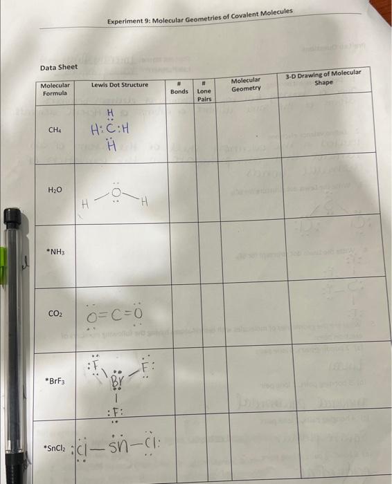 Solved Experiment 9: Molecular Geometries of Covalent | Chegg.com