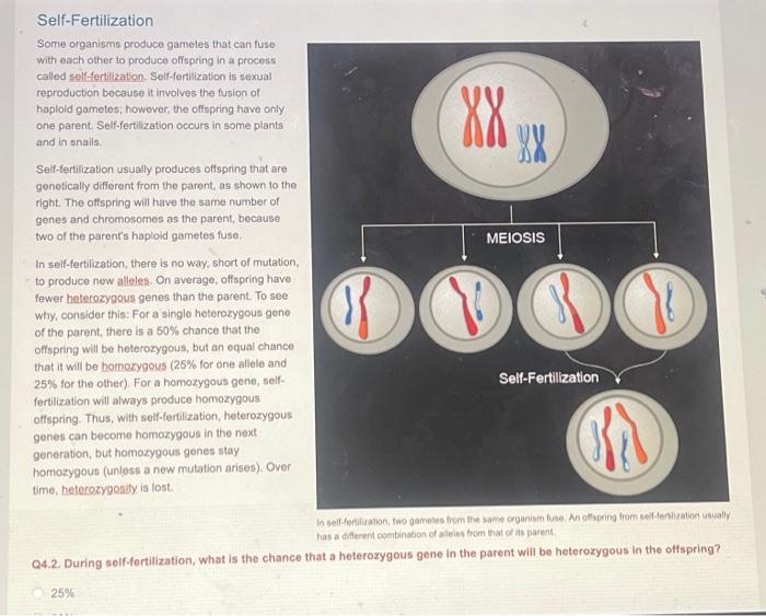 Solved Some organisms produce gametes that can fuse with | Chegg.com