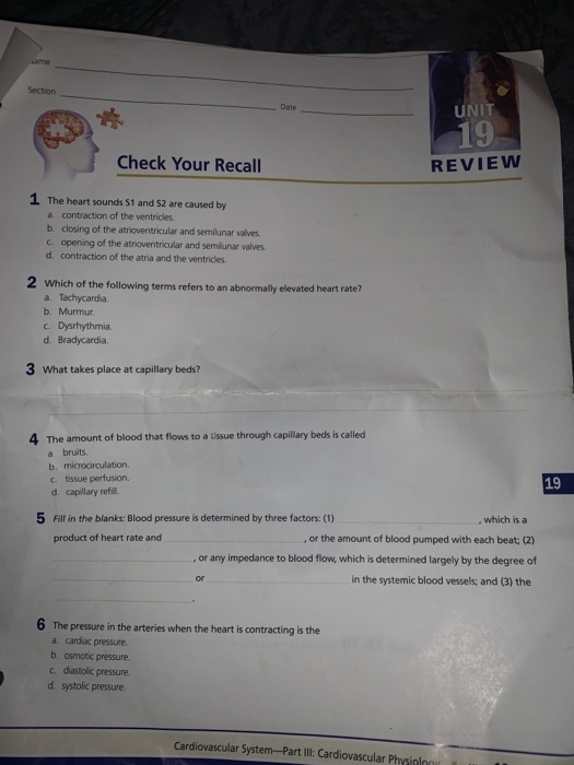 Solved Section Date UNIT 19 REVIEW Check Your Recall 1 The | Chegg.com
