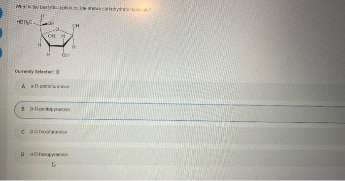Solved What is the best description for the shown | Chegg.com