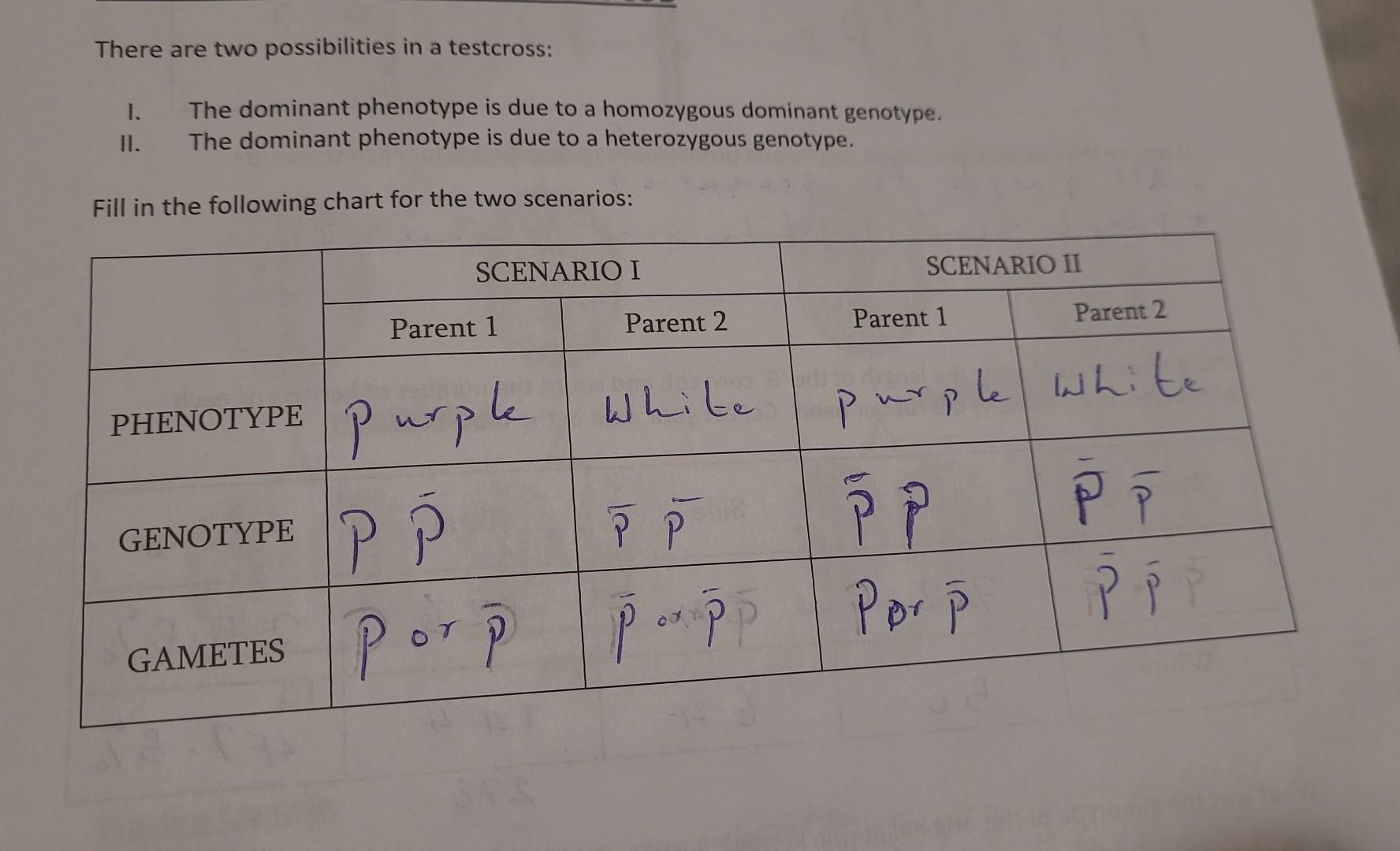 Solved what is the phenotypic probability of scenario I and | Chegg.com