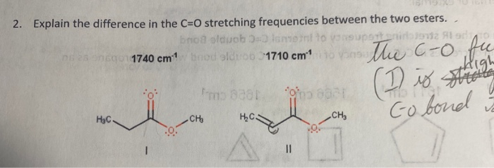 Solved 2. Explain the difference in the CEO stretching | Chegg.com