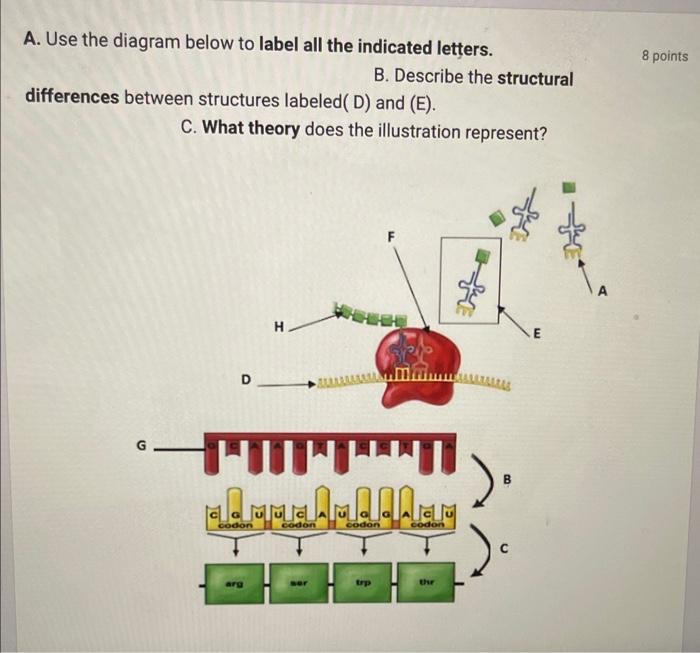 Solved A. Use the diagram below to label all the indicated | Chegg.com