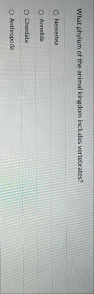 Solved What phylum of the animal kingdom includes | Chegg.com