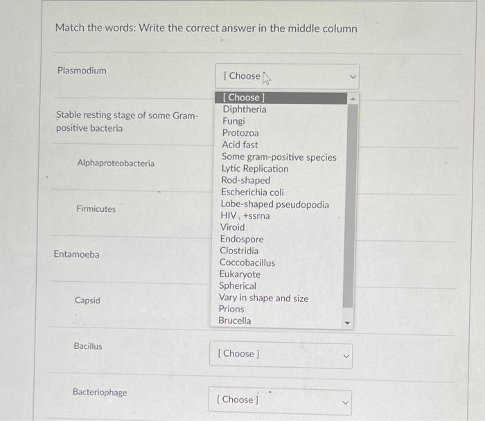 Solved Match the words: Write the correct answer in the | Chegg.com