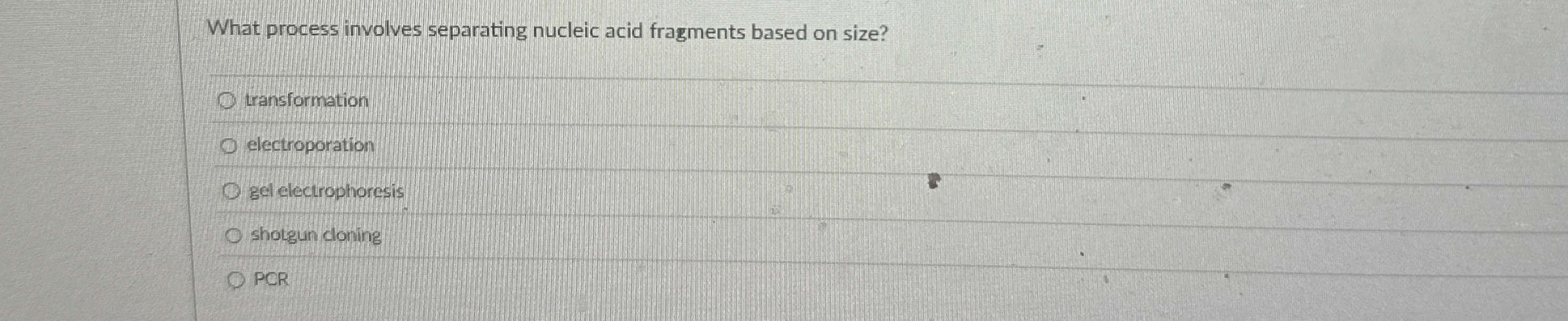 Solved What process involves separating nucleic acid | Chegg.com
