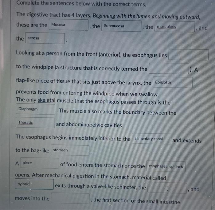 Solved Complete the sentences below with the correct terms. | Chegg.com