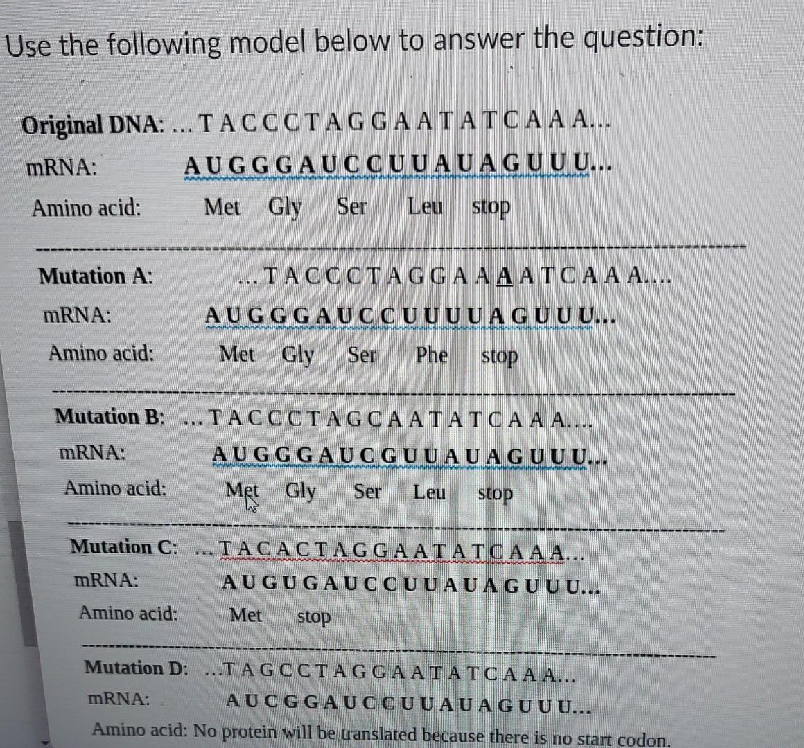 Solved Use the following model below to answer the question: | Chegg.com