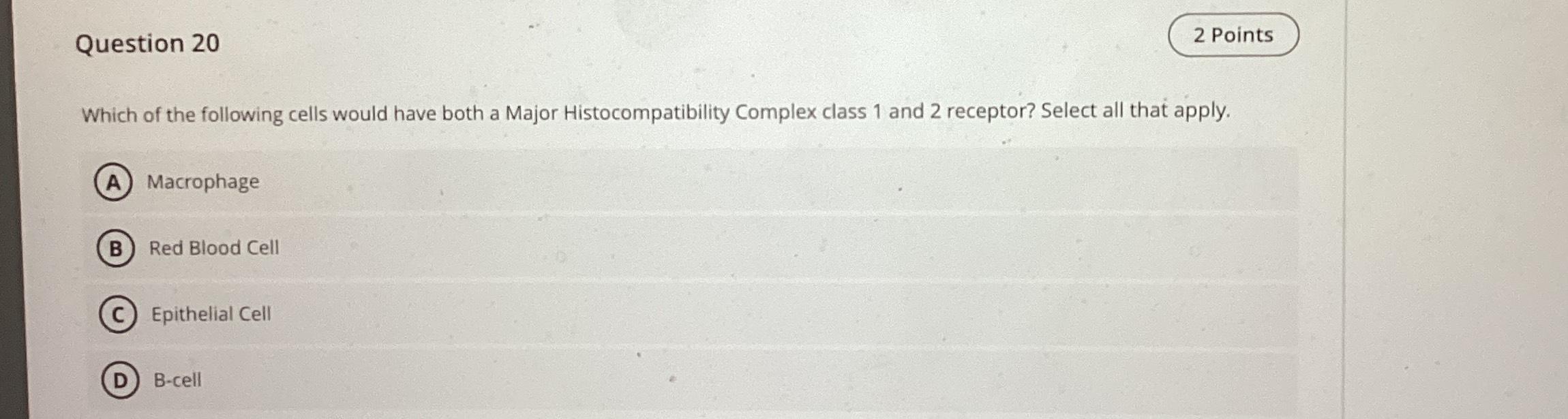Solved Question 202 PointsWhich of the following cells | Chegg.com Solved Question 202 PointsWhich of the following cells | Chegg.com