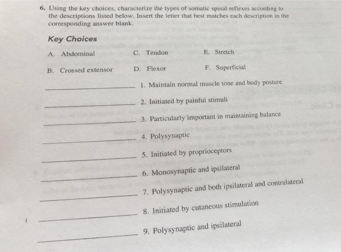 Solved 6. Using the key choices, characterize the types of | Chegg.com