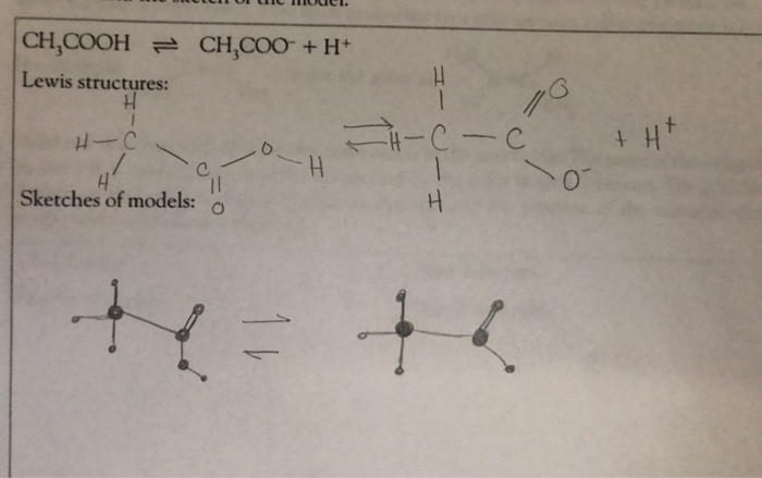 Solved CH,COOH + NH, CH,COO + NH, Sketches of models: Note | Chegg.com