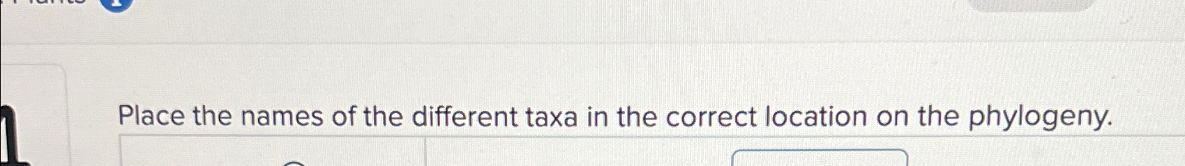 Solved Place the names of the different taxa in the correct | Chegg.com