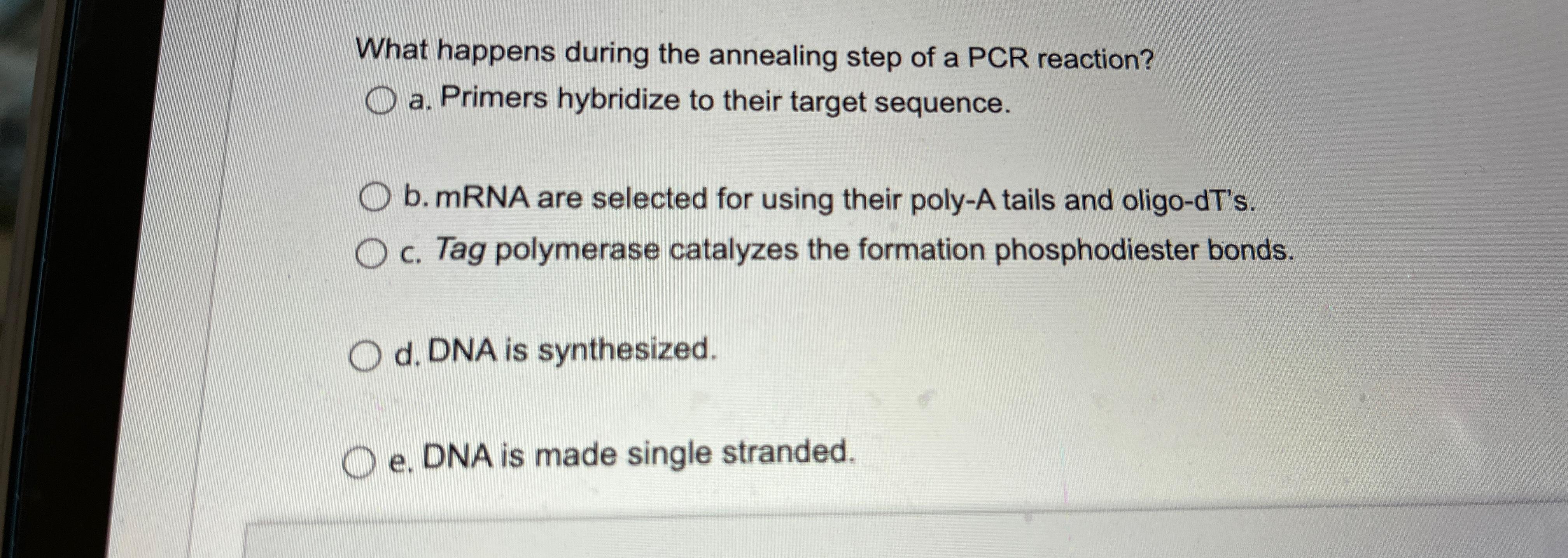 Solved What happens during the annealing step of a PCR | Chegg.com