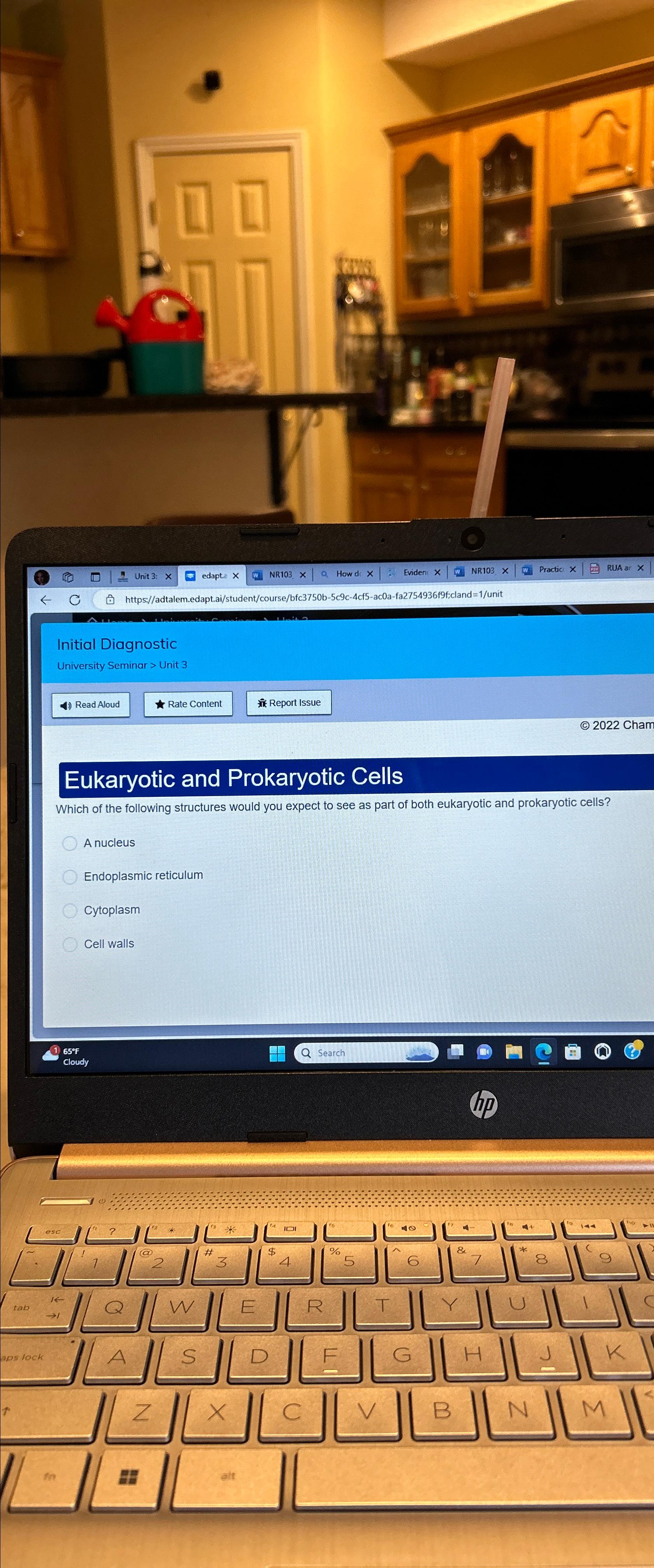 Solved Initial DiagnosticUniversity Seminar > ﻿Unit 3Read | Chegg.com