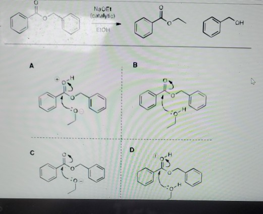 Solved which of the following is a step in the mechanism of | Chegg.com