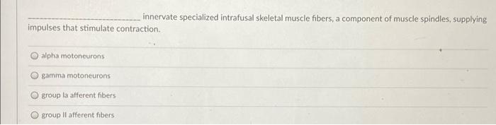 Solved innervate specialized intrafusal skeletal muscle | Chegg.com