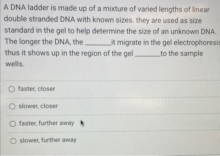 Solved What is plasmid DNA? choose all that apply. circular | Chegg.com