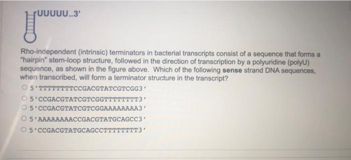 Solved Rho-independent (intrinsic) terminators in bacterial | Chegg.com