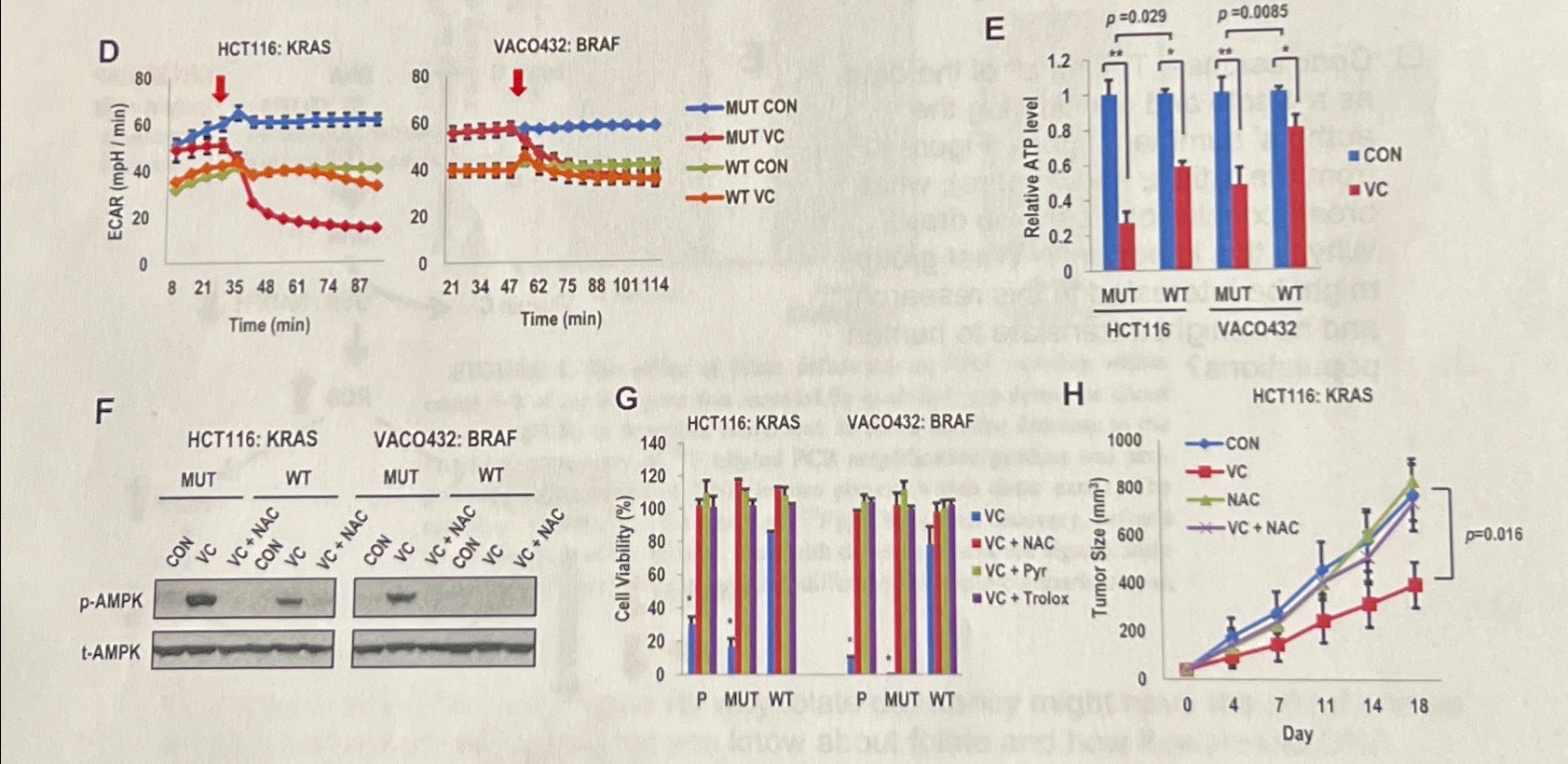 Solved Complete a full analysis fir D, ﻿E, ﻿F, ﻿G, ﻿and H 1. | Chegg.com