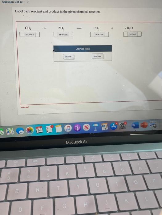 Solved Question 1 of 12 > Label each reactant and product in | Chegg.com