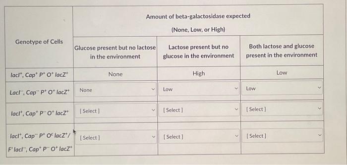 Solved Consider each of the E. coll strains listed in the | Chegg.com