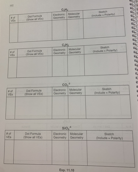 Solved MOLECULAR MODELS CHM 1045L/CHM 1046L DATA SHEET NAME | Chegg.com