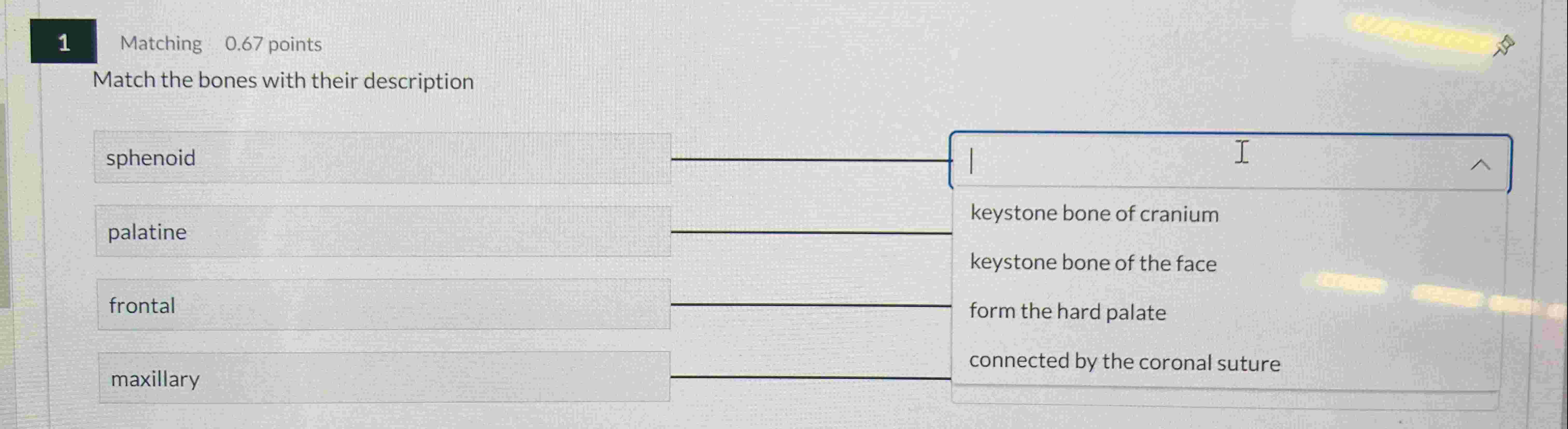 Solved Match the bones with their descriptionsphenoid 1 | Chegg.com