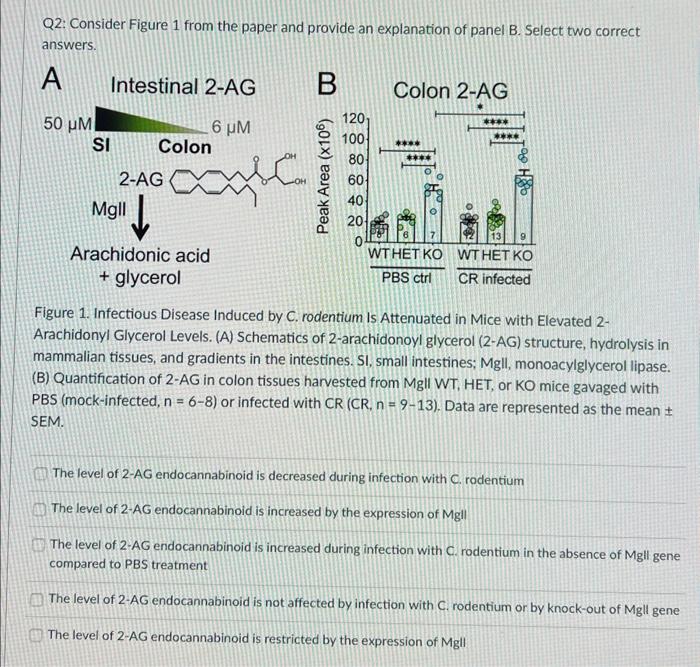 Q2: Consider Figure 1 from the paper and provide an | Chegg.com