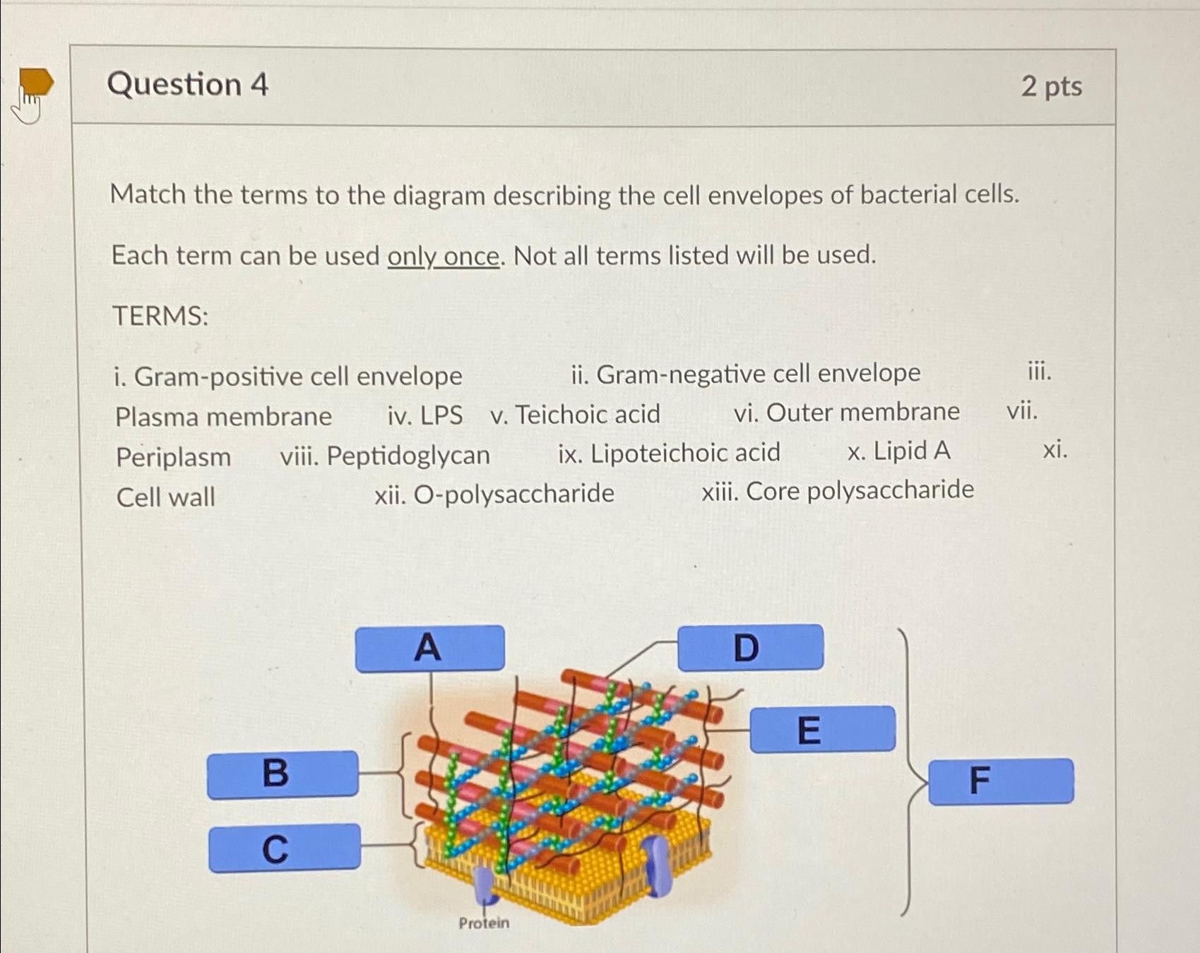 Solved Question 42 ﻿ptsMatch the terms to the diagram | Chegg.com