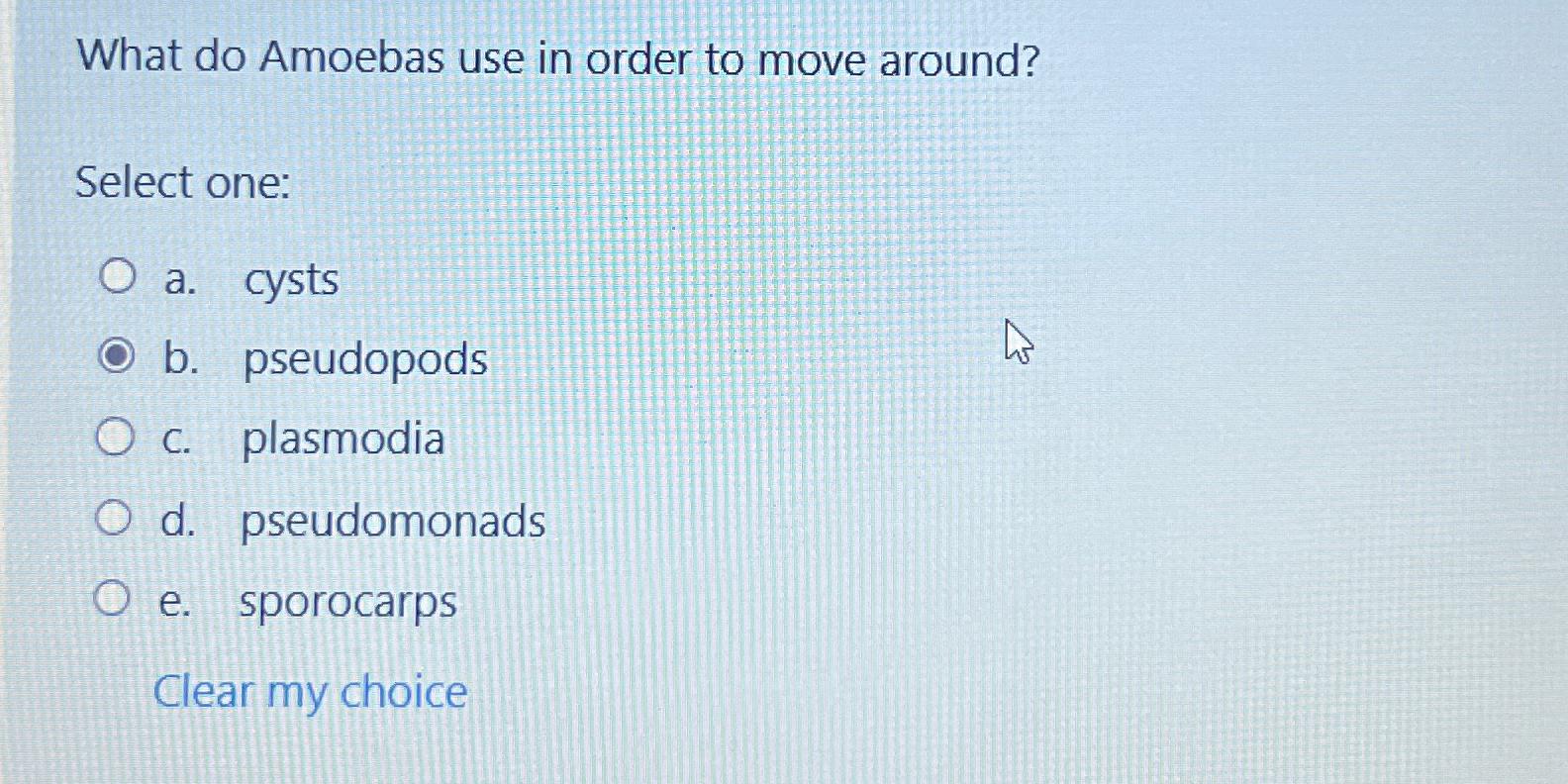 Solved What do Amoebas use in order to move around?Select | Chegg.com